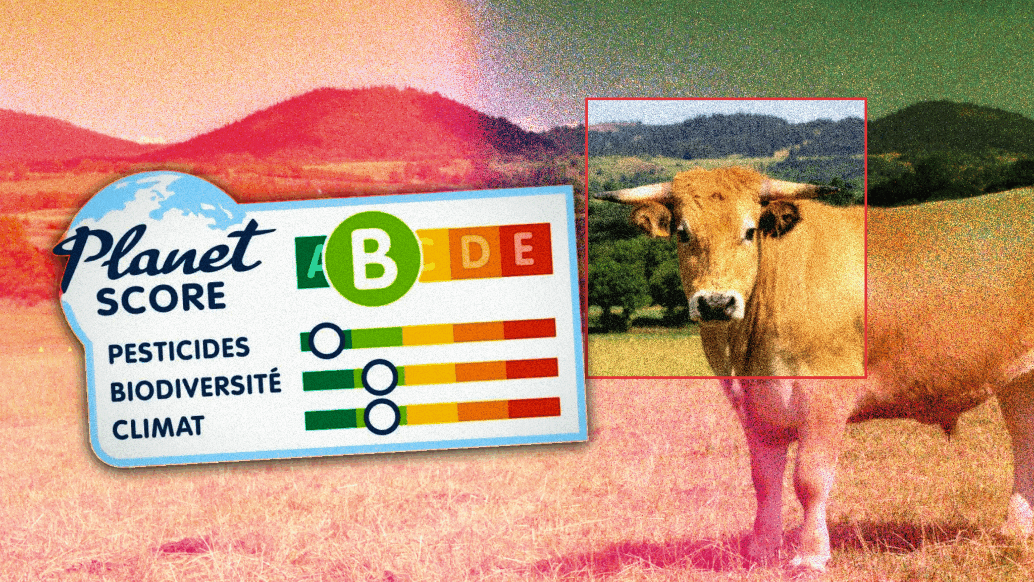 Planet-Score : l’étiquette qui verdit la viande rouge